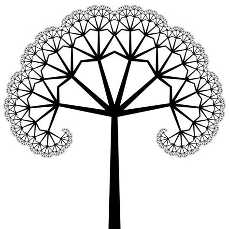 Pin by freddy quispe on árboles Fractals in nature Geometry in