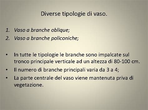 La Potatura Di Allevamento A Vaso Dellolivo Diverse