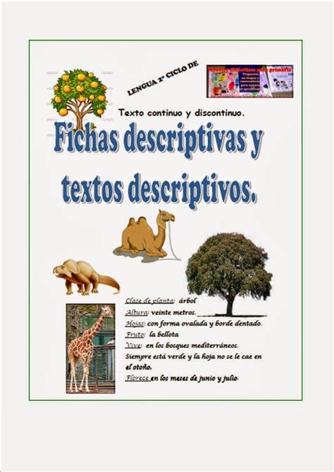 Modelos didácticos para primaria Texto descriptivo ficha descriptiva