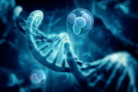 Mengenal Genetika Cabang Biologi Yang Mempelajari Pewarisan Sifat