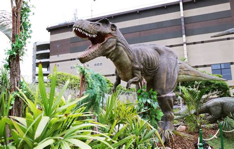 Veja imagens do T Rex Park parque de diversões sobre dinossauros 07