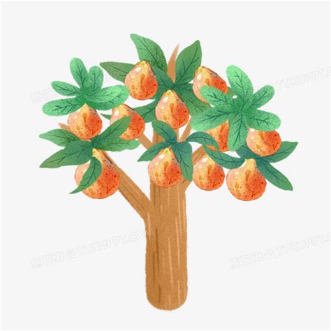 Png Png