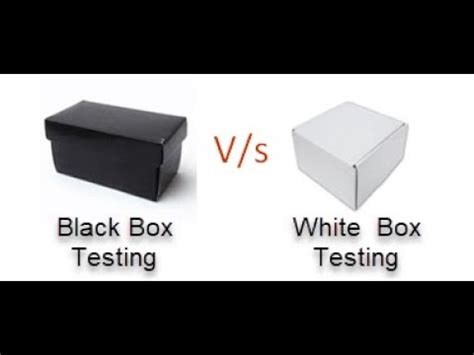 Difference Between Black Box Testing And White Box Testing In Hindi