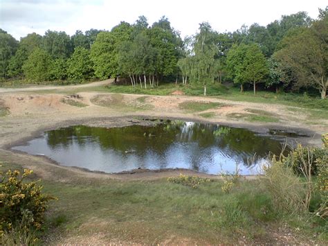 This Is A Small Water Body With Standing Water And Is Smaller Than A Lake