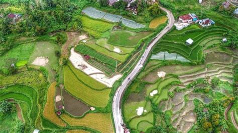 Berkenalan Dengan Nagari Pariangan Desa Terindah Di Dunia Kumparan