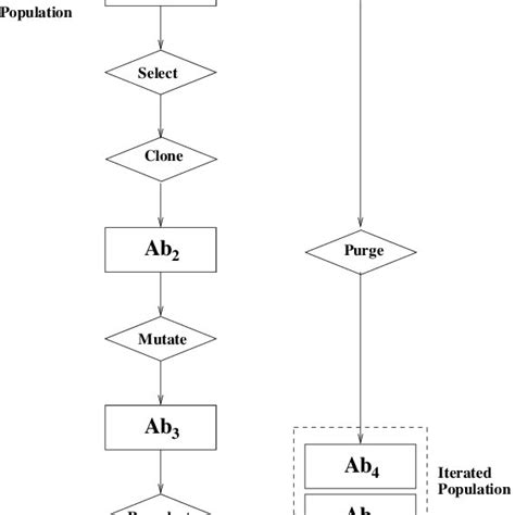 flow chart for the implementation of the clonal selection algorithm download scientific diagram