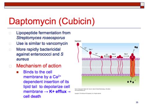 Bms Exam Flashcards Quizlet