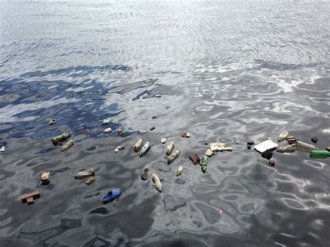 Cómo evitar contaminar el agua 14 pasos Educar Doncomos