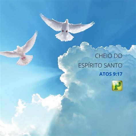 Arquivos CHEIO DO ESPÍRITO SANTO Portal Revelação