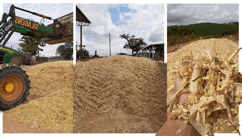 Snaplage A Silagem De Espiga De Milho Blog Da Agroceres Multimix