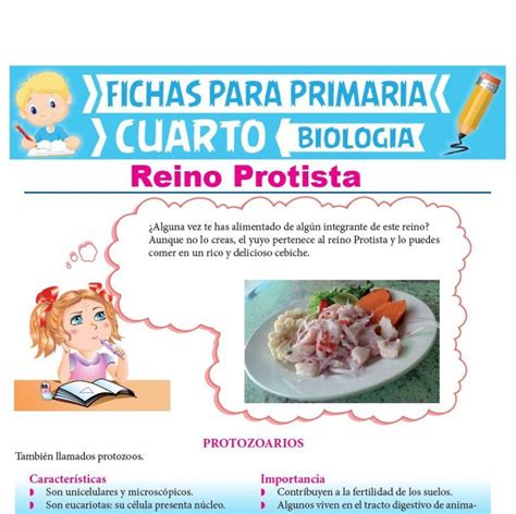 Reino Protista Para Cuarto De Primaria Fichas De Trabajo Porn Sex Picture