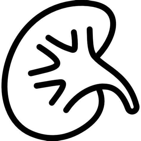Riñón Icono Gratis