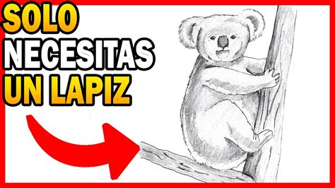 Como un KOALA realista paso a paso MUY FÁCIL dibujo de UN