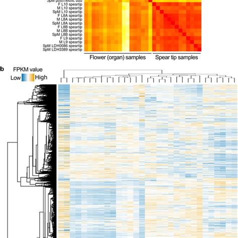 Characterization Of Samples Used For Rna Seq A Heat Map Based On