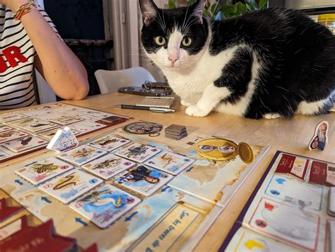 Sur Les Traces De Darwin Nature D Couverte Jeux De Soci T Polygamer