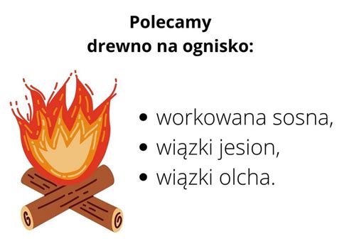 Skąd wziąć i jakie wybrać drewno na ognisko do kiełbasy Ogrody