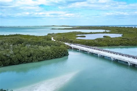Ecosistemas De Quintana Roo Los Conoces Info Quintana Roo