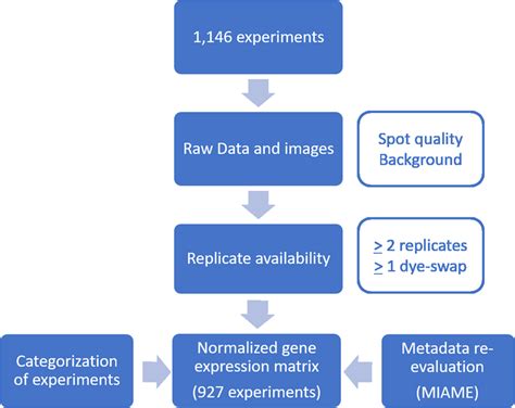 dna microarray re evaluation pipeline overall 1 146 experiments were download scientific