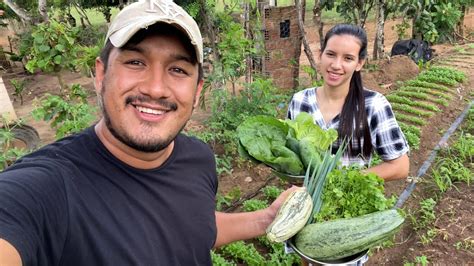 COLHEITA NA HORTA PARA O ALMOÇO E PARA DIVIDIR A FAMÍLIA YouTube