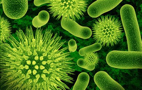 Las Bacterias Tambi N Son