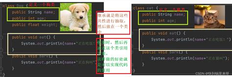 java语言面向对象三大核心特性之【继承】 java面向对象核心特性 csdn博客