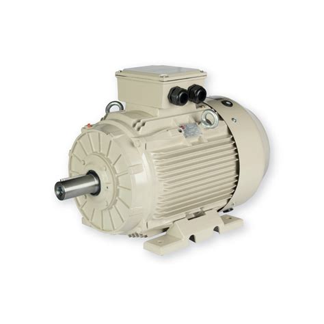 Moteur électrique triphasé 230 400V 18 5 kW 750 tr min ALMO ST3 Fonte
