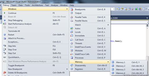 Tracking Out Of Scope Objects Using Datatips While Debugging In Visual