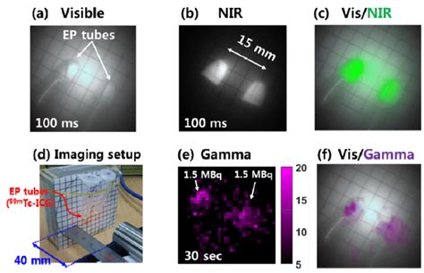 simultaneous nir gamma visible images a visible image of two ep tube download scientific