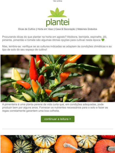 Plantei Agosto O Que Plantar Na Horta Milled
