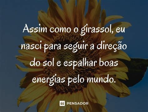 As Melhores Frases De Girassol Para Iluminar O Seu Dia Pensador
