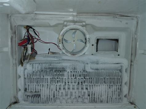 En Casa Aventuras Becerro Refrigerador No Frost No Enfria Abajo Multa
