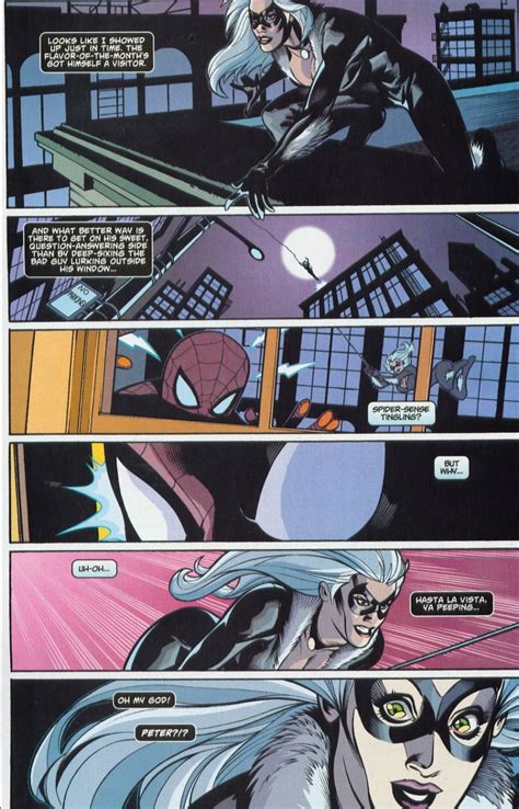Spider Man And The Black Cat The Evil That Men Do Read All