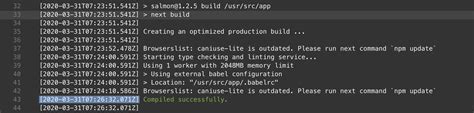 Npm Ci Build
