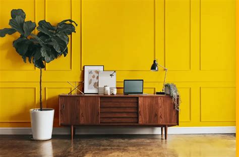 Sherwin Williams Confident Yellow SW 6911 30 Real Pictures