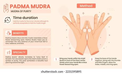Exploring Prithvi Mudra Benefits Characteristics Method Stock Vector