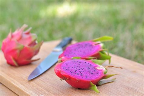 Você sabe como plantar pitaya Vem descobrir