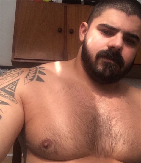 Stocky Bear Tumblr Telegraph