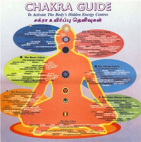 Endocrine Gland Plexus Products Chakra Meditation Challenges Sexy