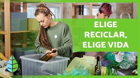 La IMPORTANCIA De RECICLAR Para El MEDIO AMBIENTE YouTube