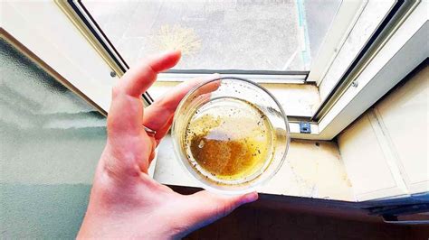 COME TENERE LE MOSCHE LONTANE DA CASA QUESTO LIQUIDO LE FARÀ VOLARE