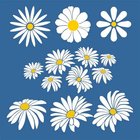 Daisy Flower Cuttable Design SVG DXF EPS Use With Silhouette