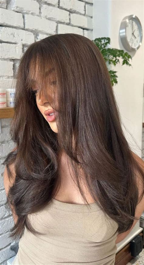 New Haircut Ideas For Women To Try In Ash Violet Brown
