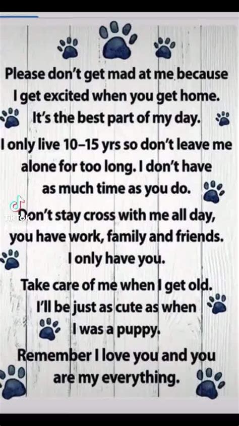 Please Don T Get Mad At Me Because Get Excited When You Get Home It