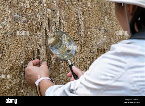 Female Geologist Using A Magnifying Glass Examines Nature Analyzing