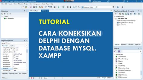Cara Membuat Koneksi Antara Delphi Dengan Database Mysql Xampp Youtube