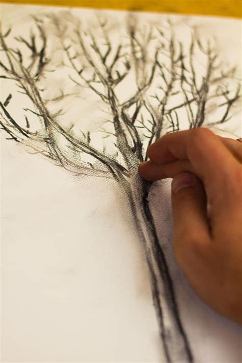 Beginner Charcoal Drawing Ideas