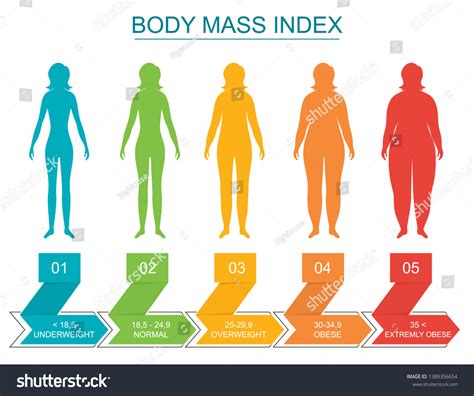 Cartoon Body Mass Index Infographics Concept