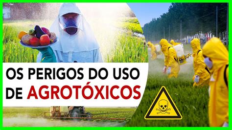 Os perigos do uso de Agrotóxicos YouTube
