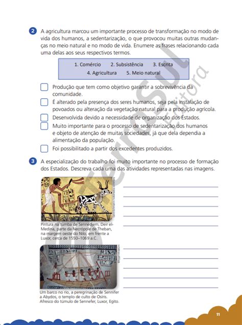 Livro De Pr Ticas E Acompanhamento Da Aprendizagem Hist Ria Ano