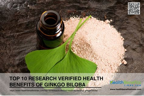Top 10 Research Verified Health Benefits Of Ginkgo Biloba